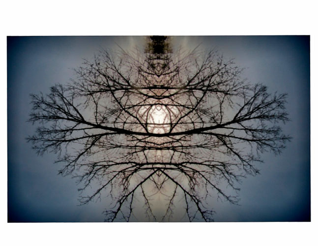 Creative - Halloween Tree Apparations by Ken Krautbauer - Western ...