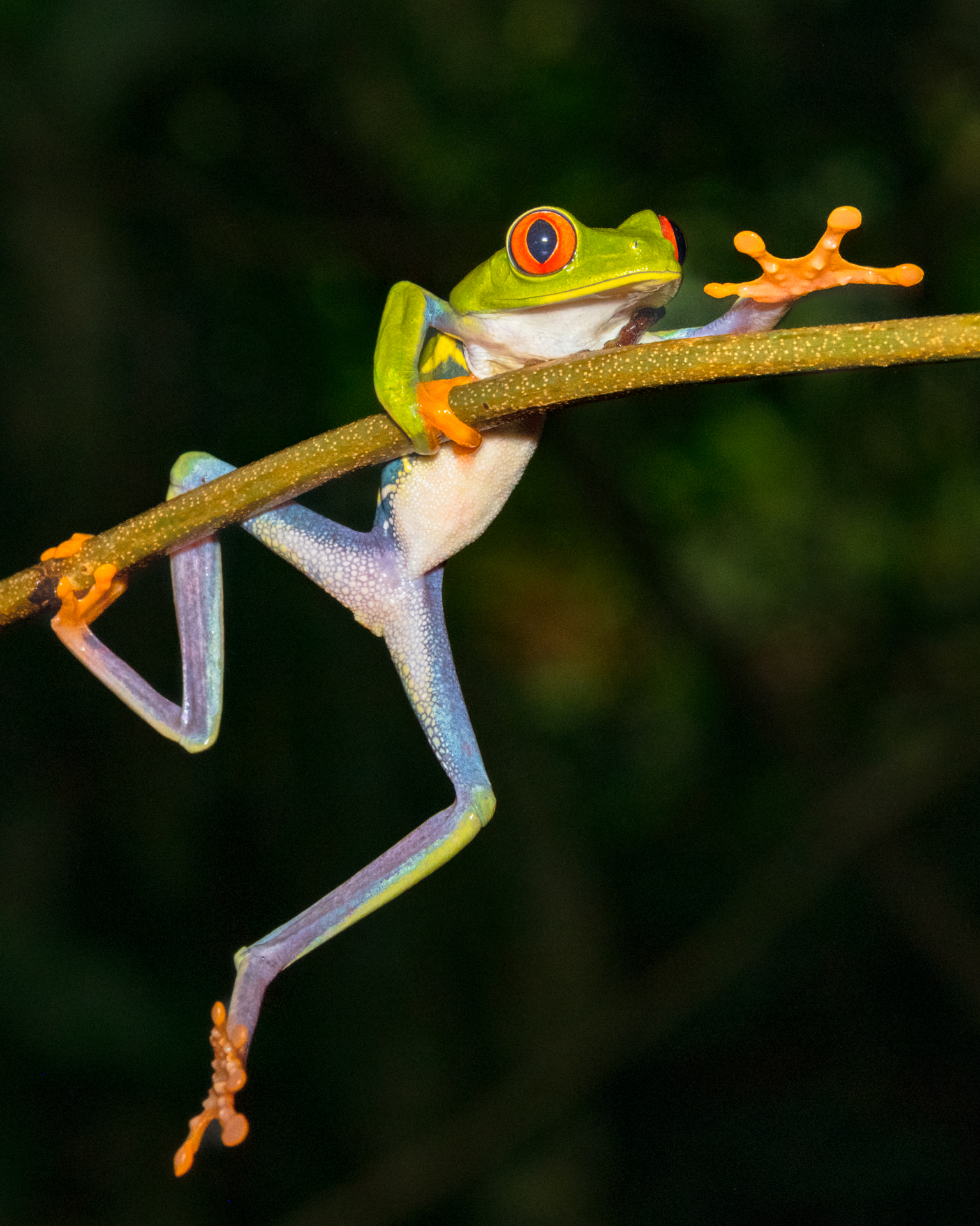 WWPC October and Beyond - Western Wisconsin Photo Club